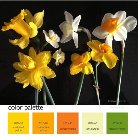 color palette: daffodil yellows & stem greens - Little Blue Dish